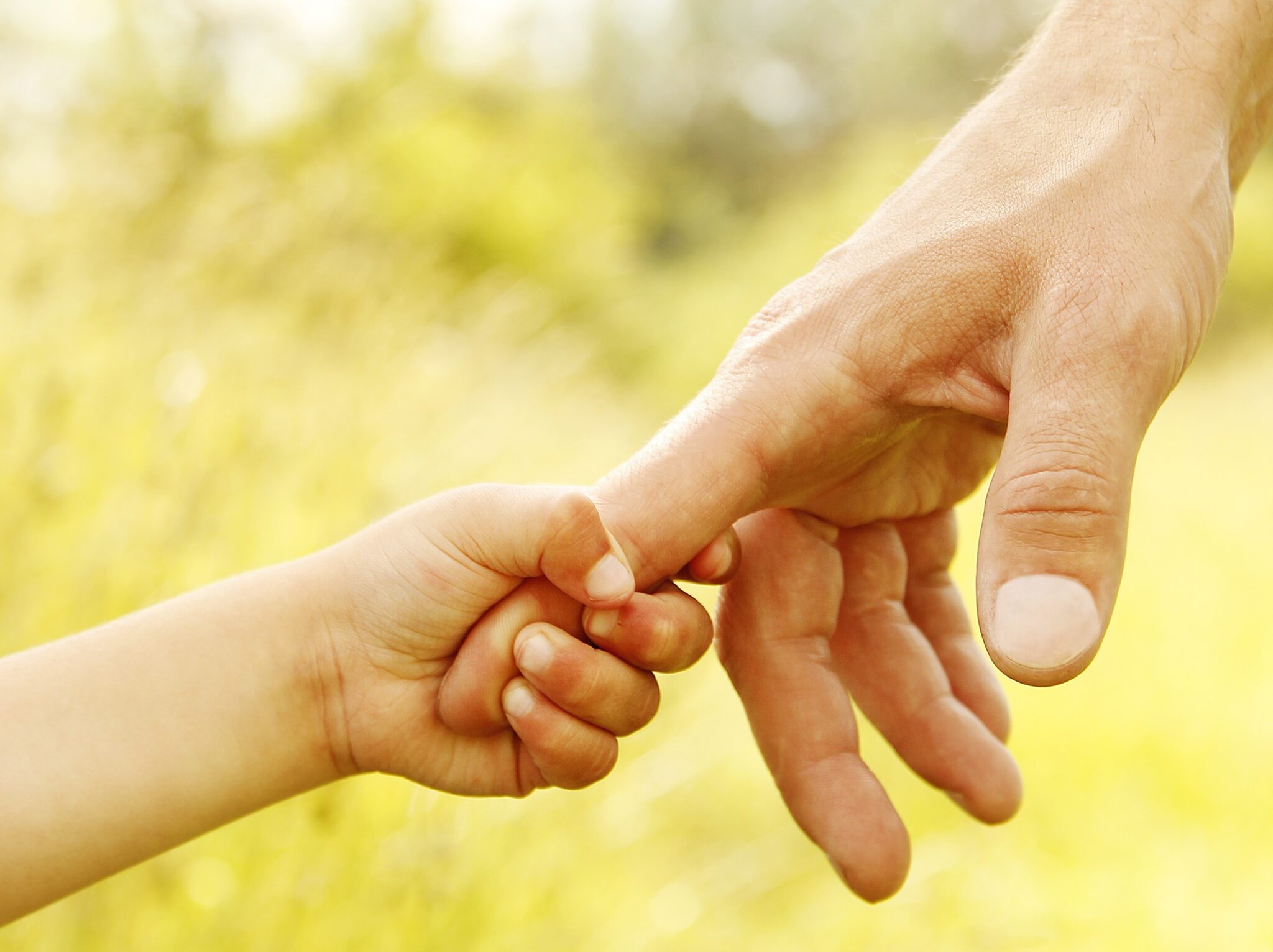 Home – Intermountain